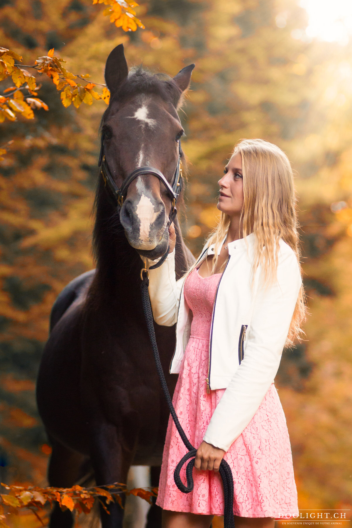 Photographie de votre animal, Chien, Cheval, Chat & co | Suisse, France ...